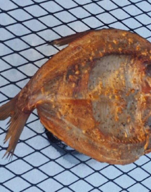 Rūkytas karšis - tradicinis pamario žvejų receptas | INGOS receptai www ...