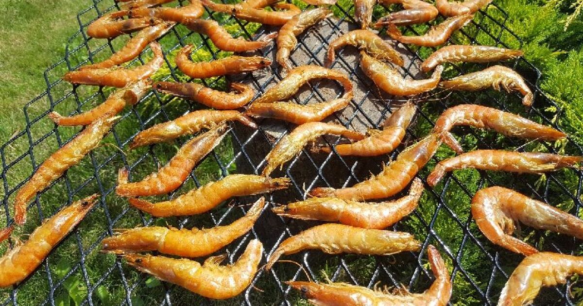 kaip rukyti krevetes video www.gerarukykla.lt|Gerarukykla.lt